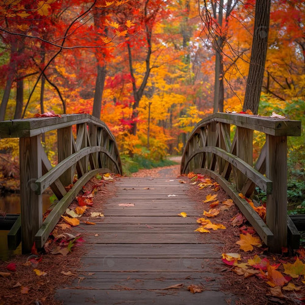 forest bridge wallpaper