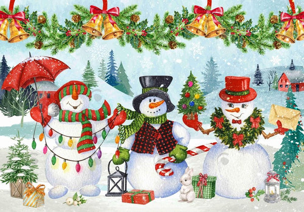 Winter Snowman Party Backdrop – Allenjoy Studio