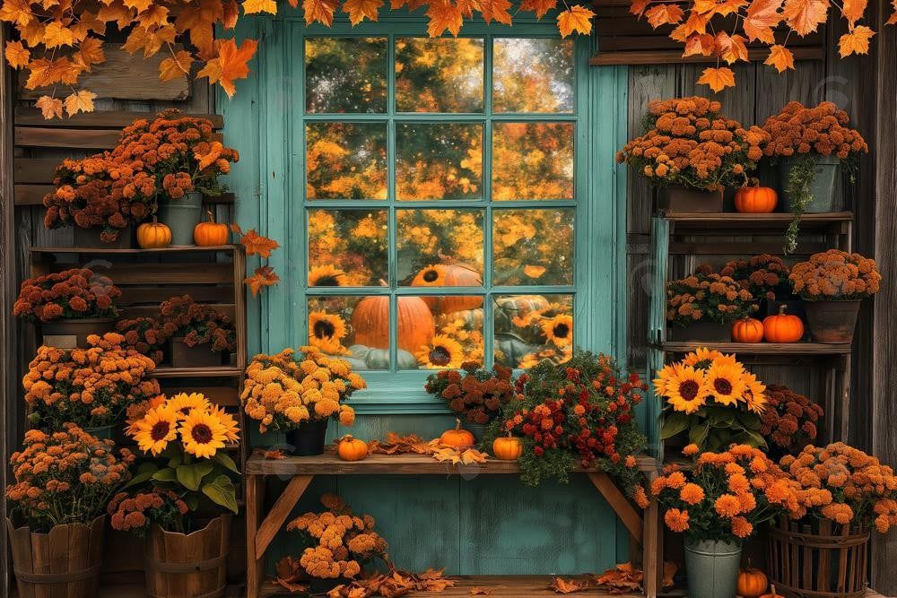 Allenjoy Autumn Greenhouse Window Photography Backdrop Gbsx-00653 ...