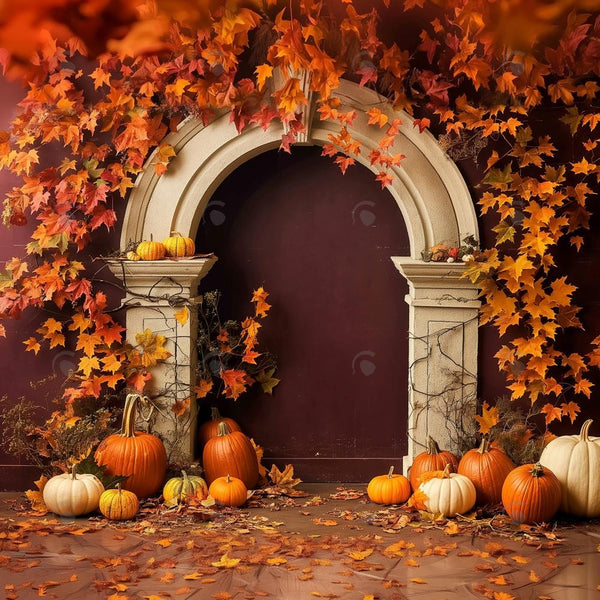 Allenjoy Autumn Leaves Arch Photography Backdrop GBSX-00133 – Allenjoy ...