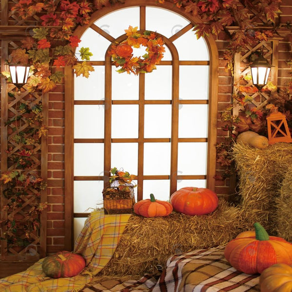 Allenjoy Autumn Leaves Window Photography Backdrop Gbsx-00837 ...