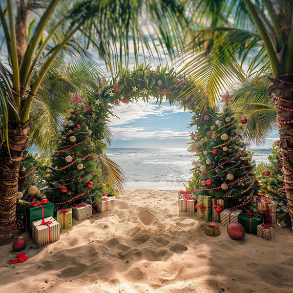 Allenjoy Christmas Sea Beach Arch Photography Backdrop Gbsx-00570 ...