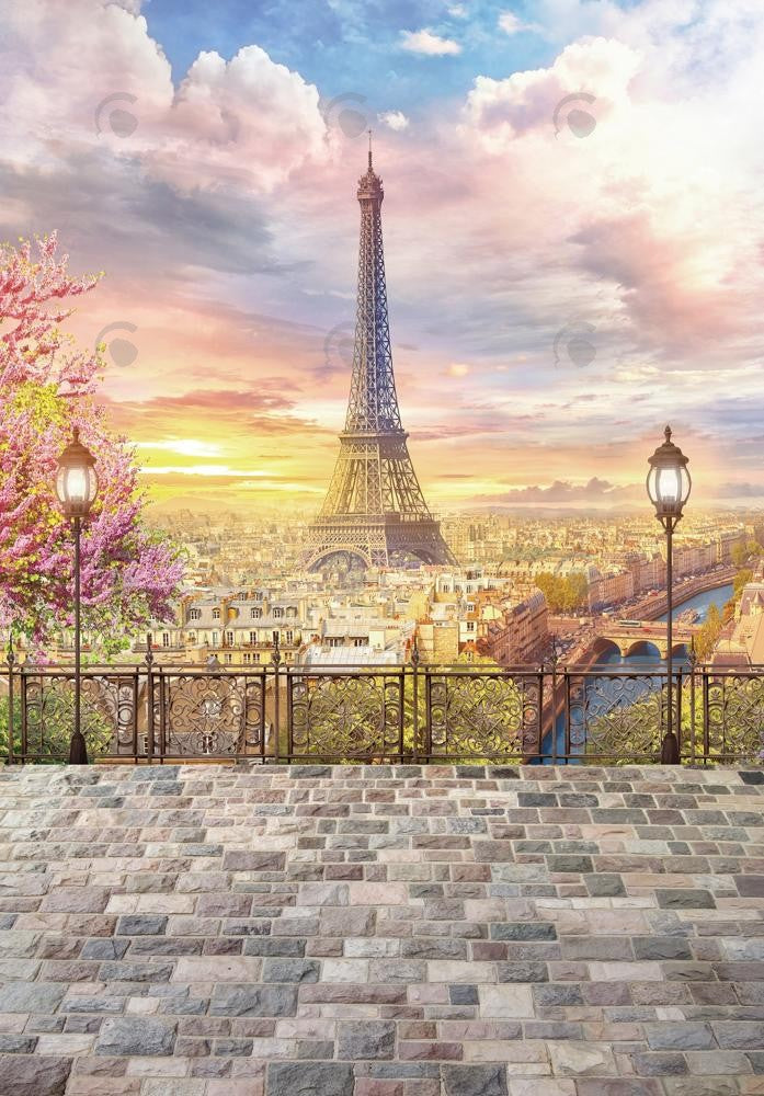 Allenjoy Eiffel Tower Landscape Photography Backdrop Gbsx-00678 ...