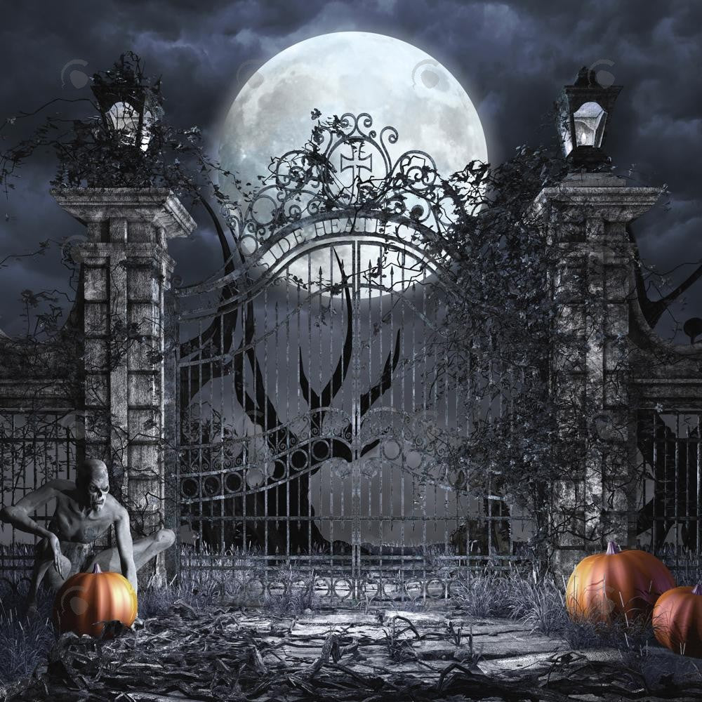 Allenjoy Halloween Scary Gate Photography Backdrop GBSX-00165 ...