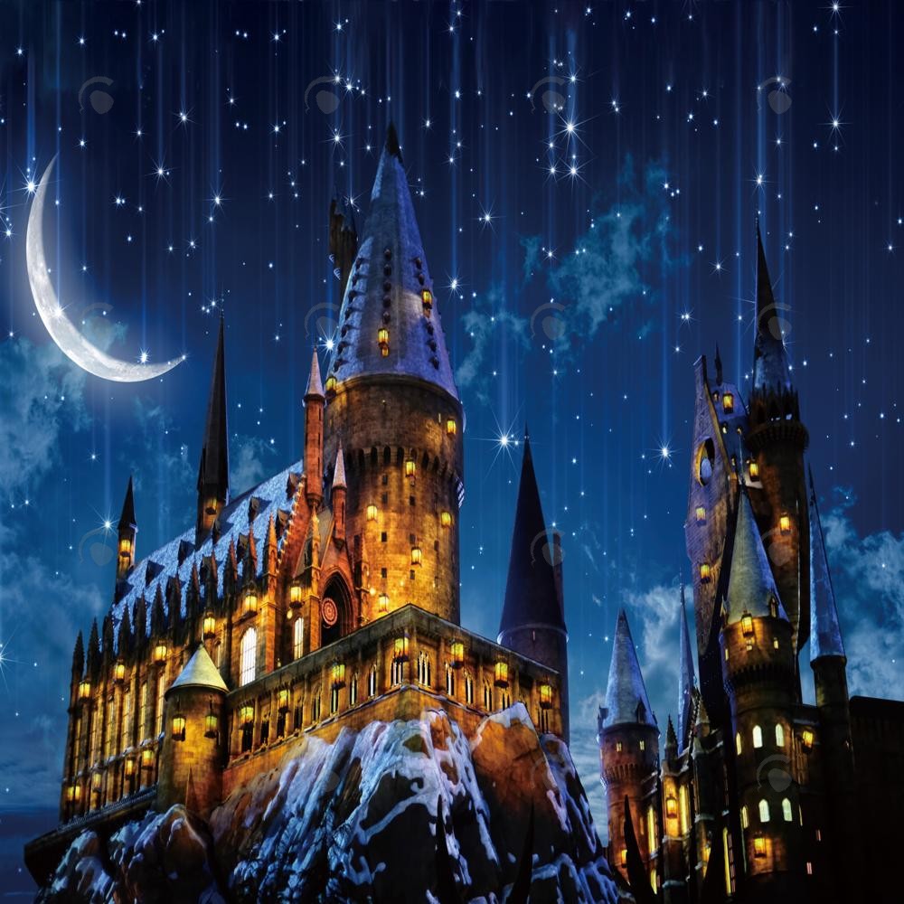Allenjoy Magic Castle Witch Wizard School Photography Backdrop Gbsx-00 ...