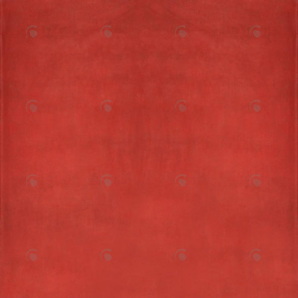 Allenjoy Red Texture Photography Backdrop Gbsx-00275 – Allenjoy Studio