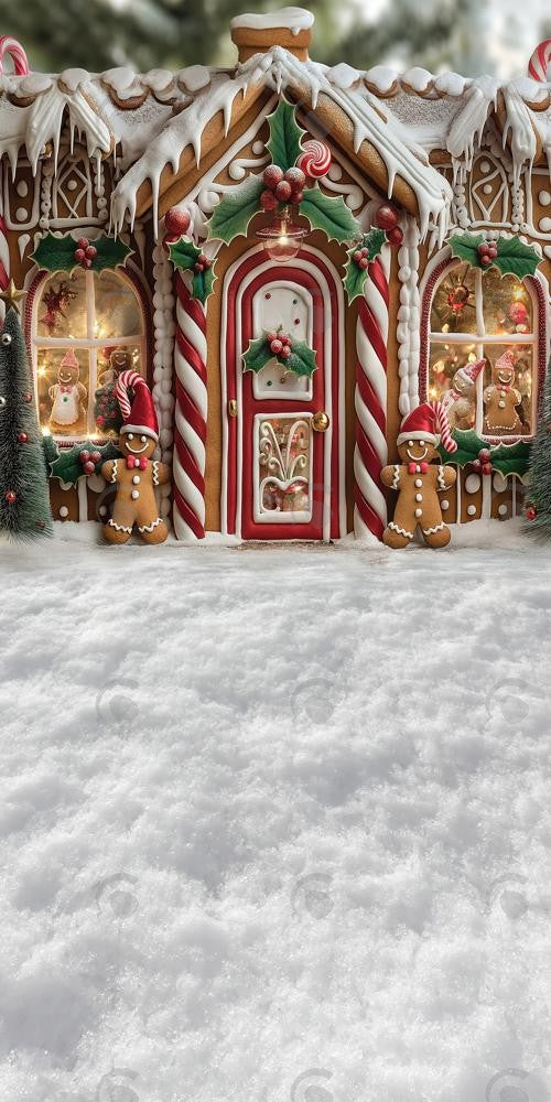 Allenjoy Winter Gingerbread House Photography Backdrop GBSX-00153 ...