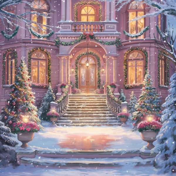 Allenjoy Winter Palace Photography Backdrop GBSX-00083 – Allenjoy Studio