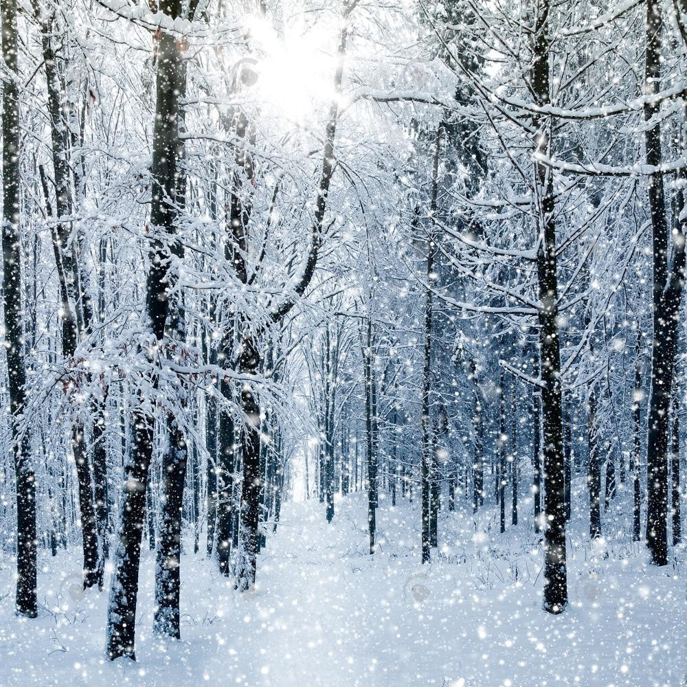 Allenjoy Winter Snowy Forest Photography Backdrop Gbsx-00724 – Allenjoy ...